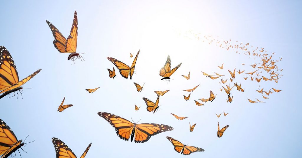 Stomach Butterflies Explained - Western Medical Assessments